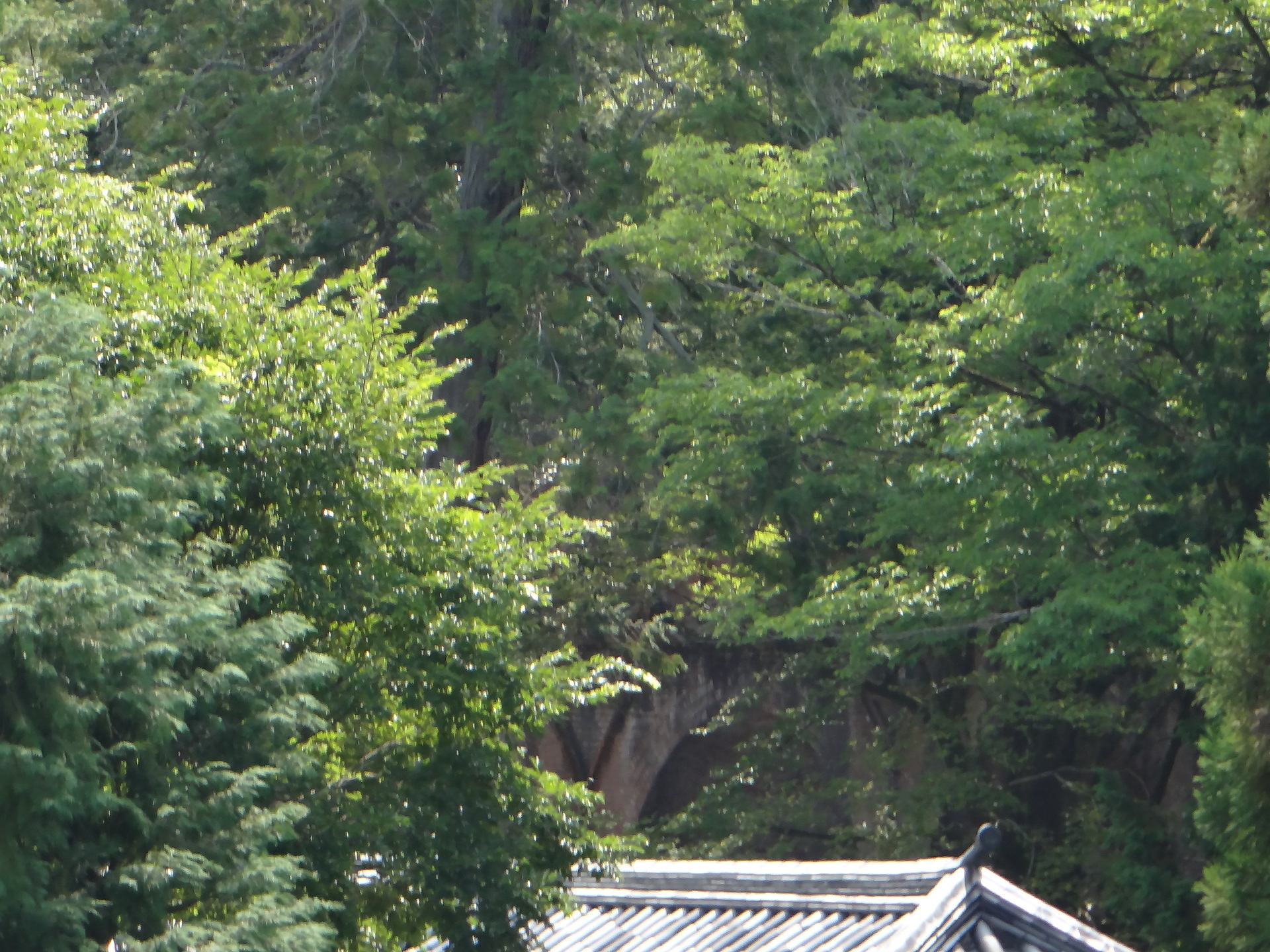 三門に登って「絶景かな」と叫んでみる@南禅寺: letuce's room