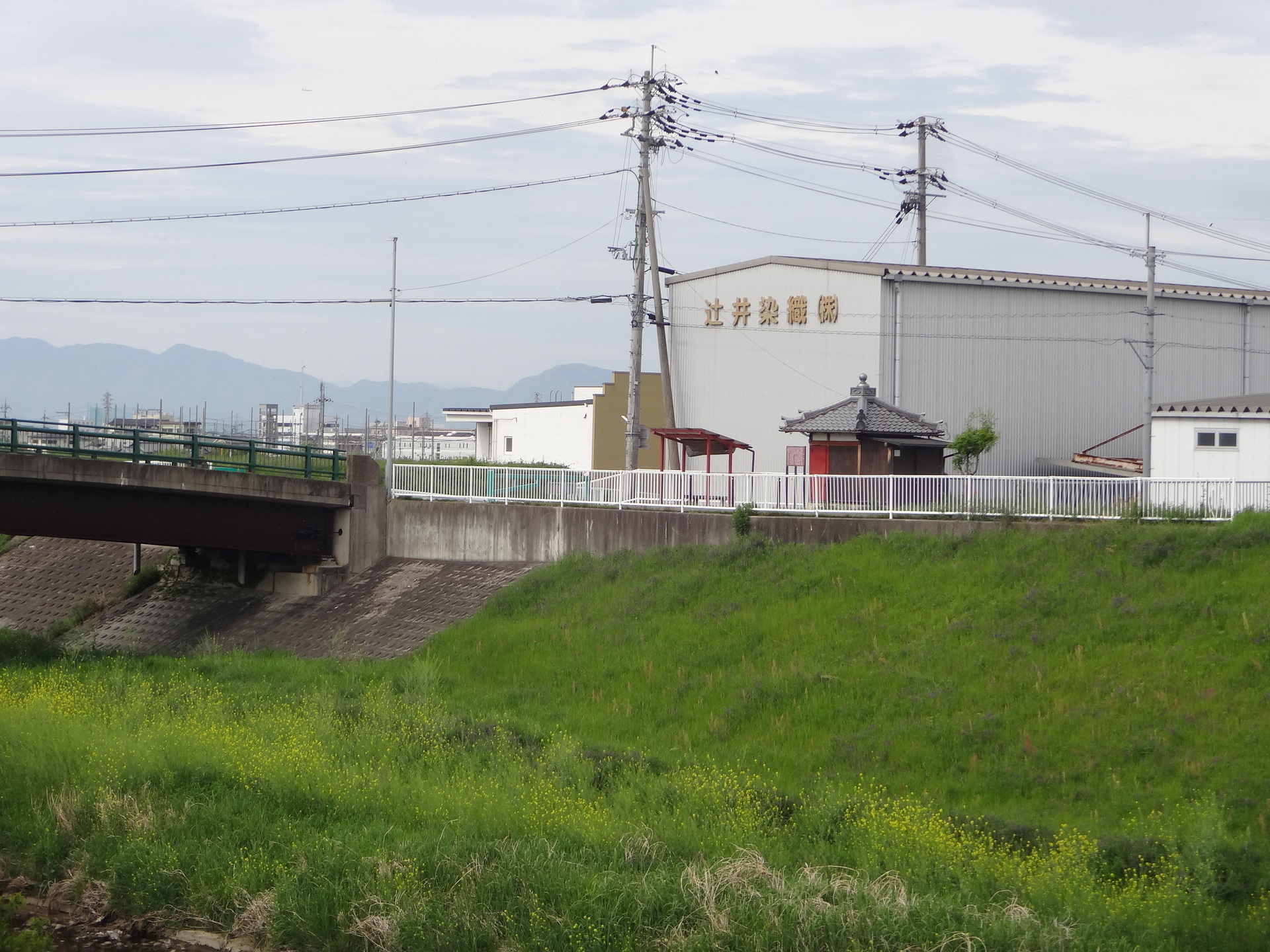 佐保川の堤防にたたずむ枳殻地蔵尊＠大和郡山市: letuce's room